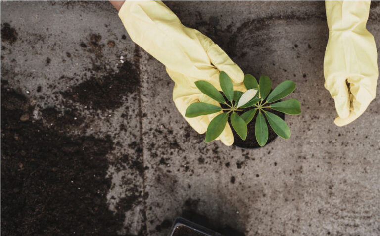 About Us | Kayne Anderson